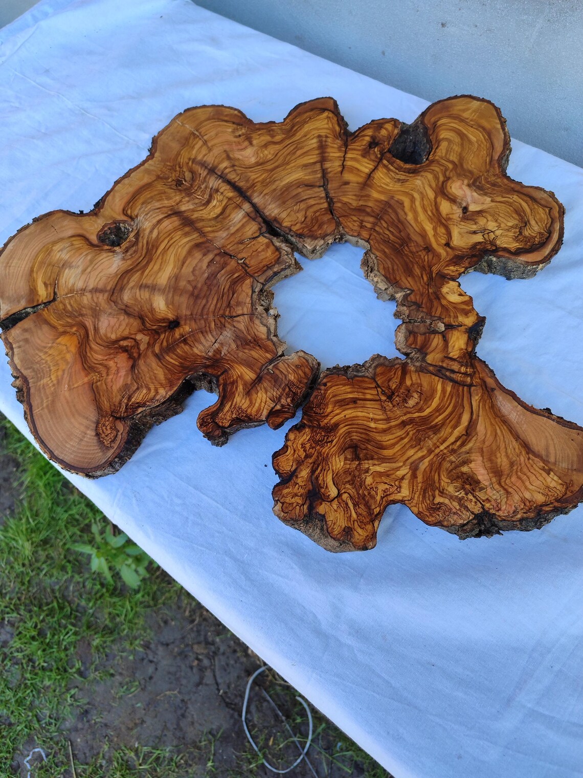 Rare Olive Wood Slab 51x51cm | Live Edge for Epoxy Resin & Coffee Table ...