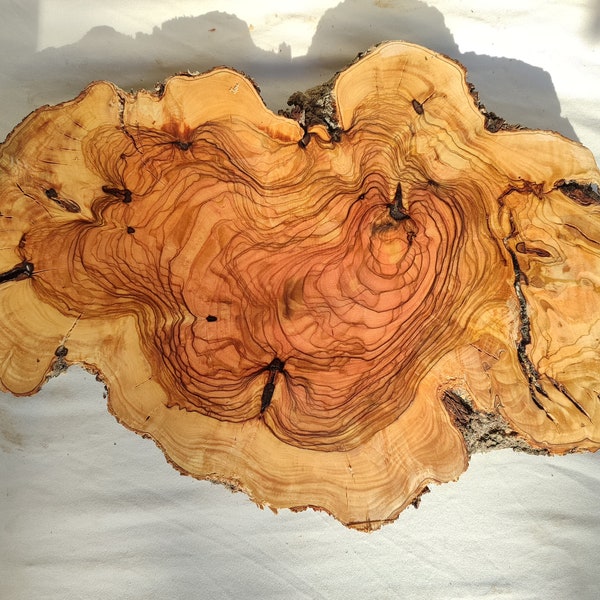 Olive Wood - Etsy