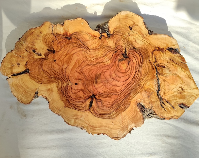 18" 45cm Turkish Olive Wood Slab for Epoxy Resin,500+ Yr Cleaned,olive ...