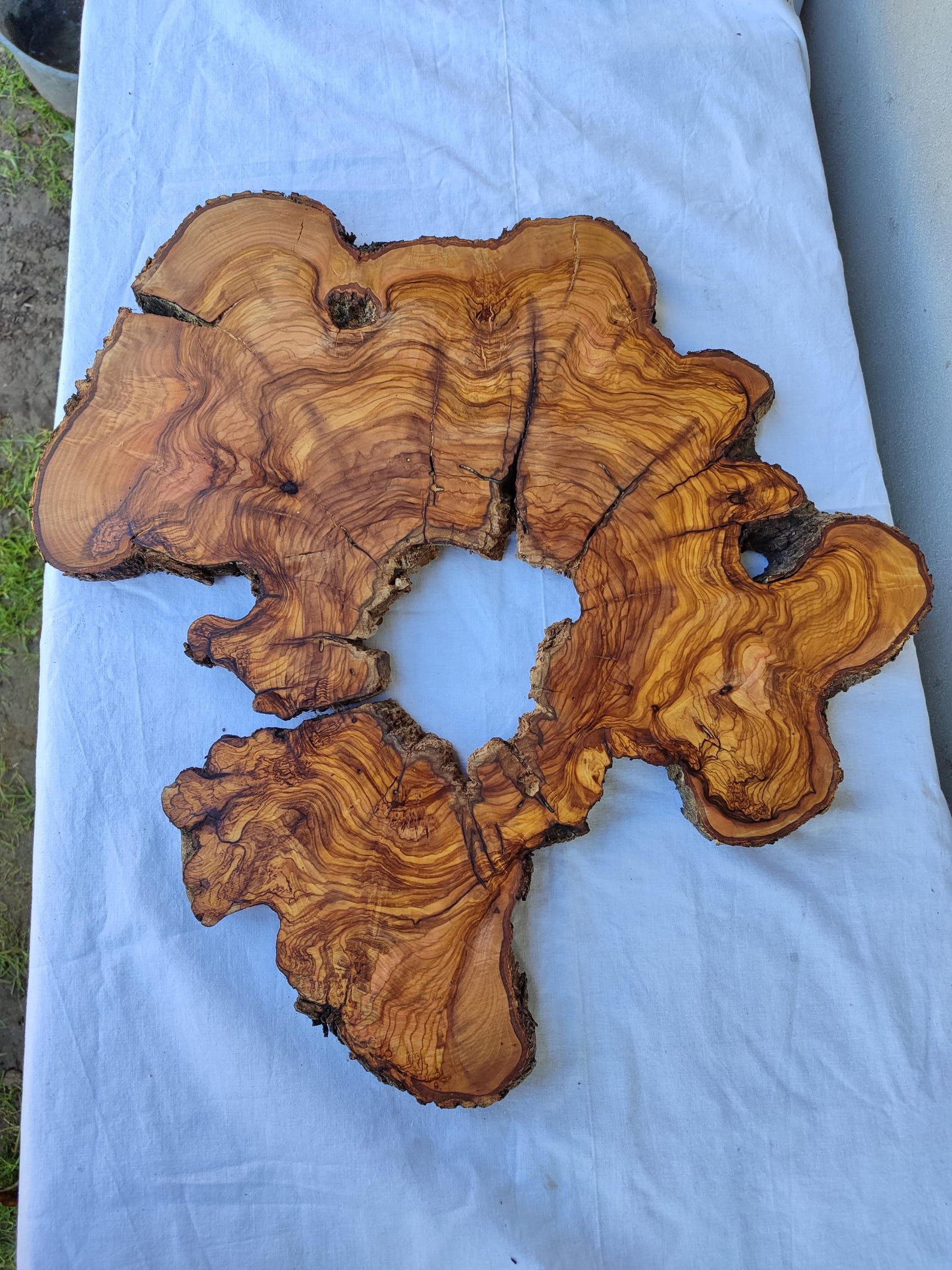 Rare Olive Wood Slab 51x51cm | Live Edge for Epoxy Resin & Coffee Table ...