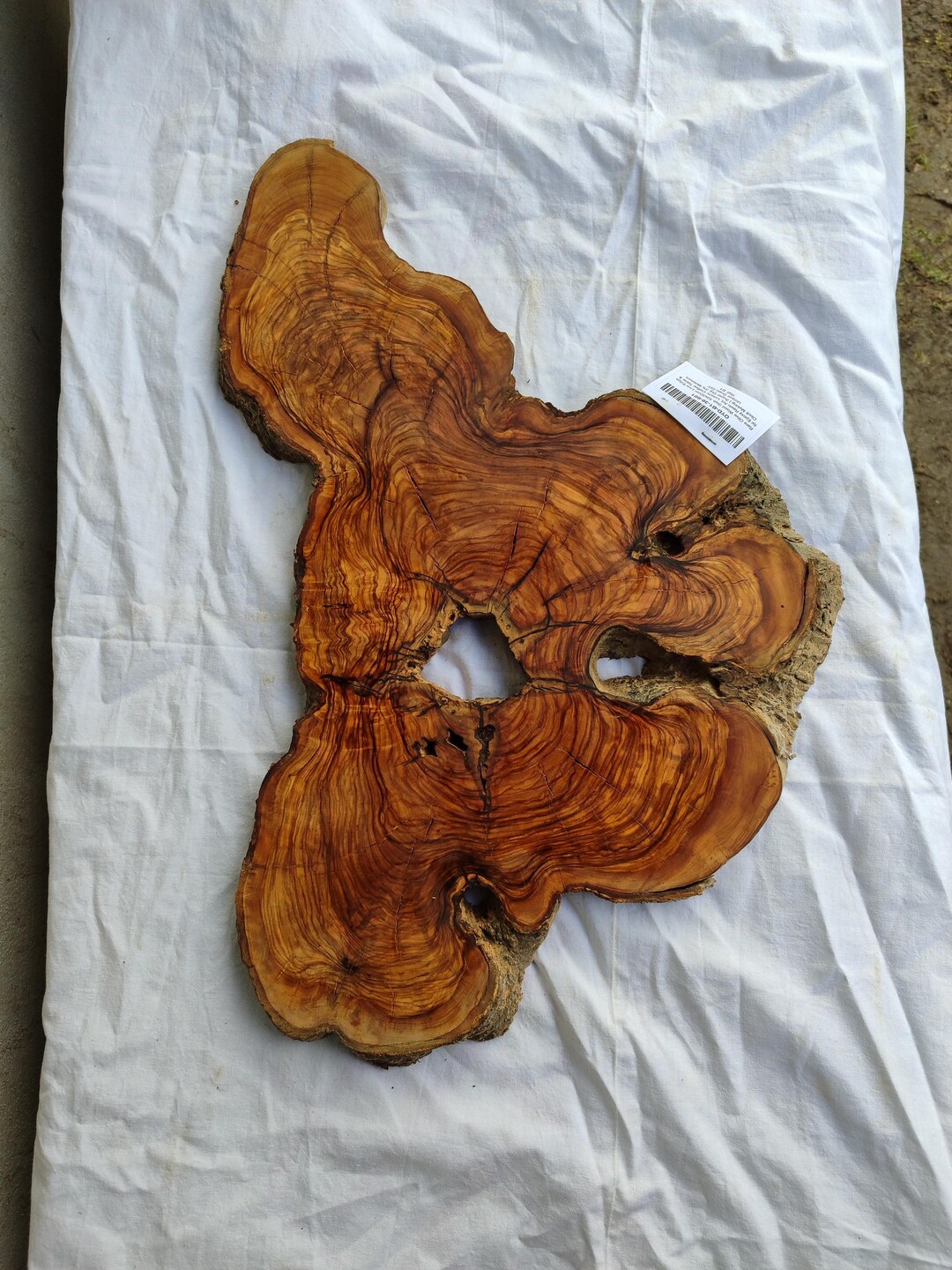 Rare Olive Wood Slab, Live Edge, Epoxy Resin Art, 53x30cm - Etsy