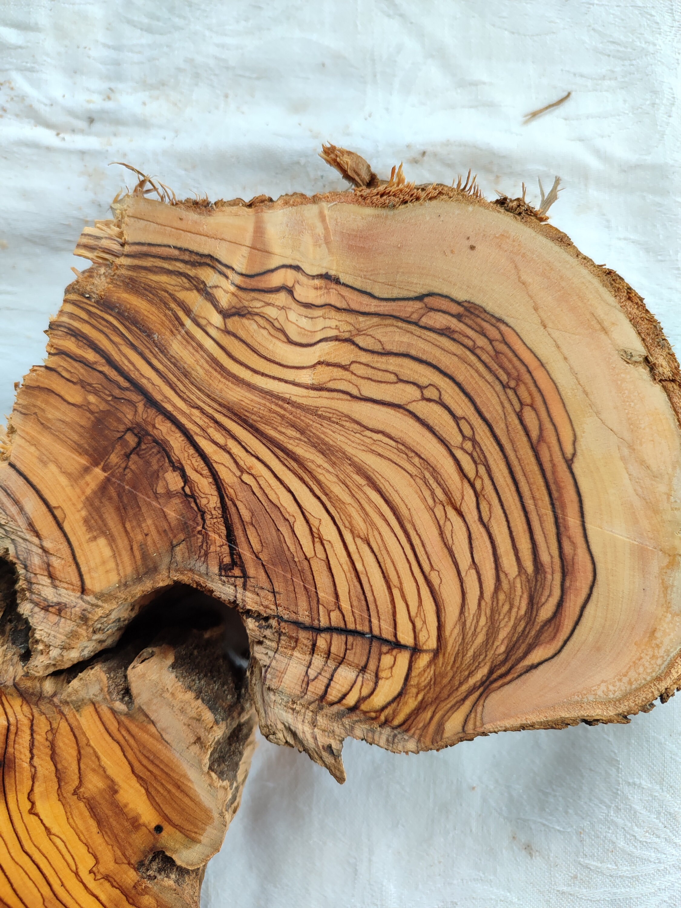 19 48 Cm Turkish Mediterranean Olive Tree Wood,wood for DIY Project ...