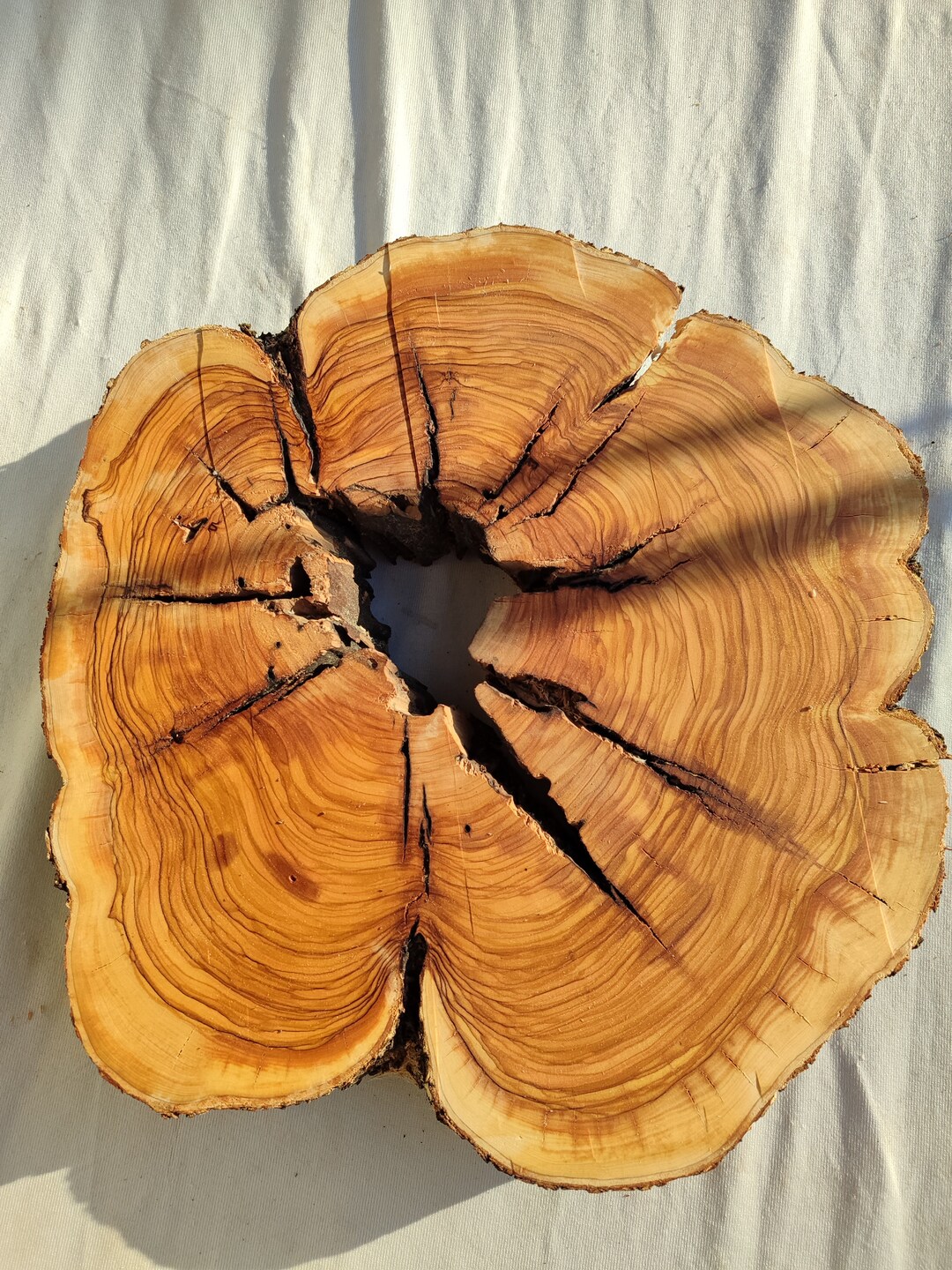 Rustic 11'' Olive Wood Slab for DIY Charcuterie Boards - Epoxy Resin ...