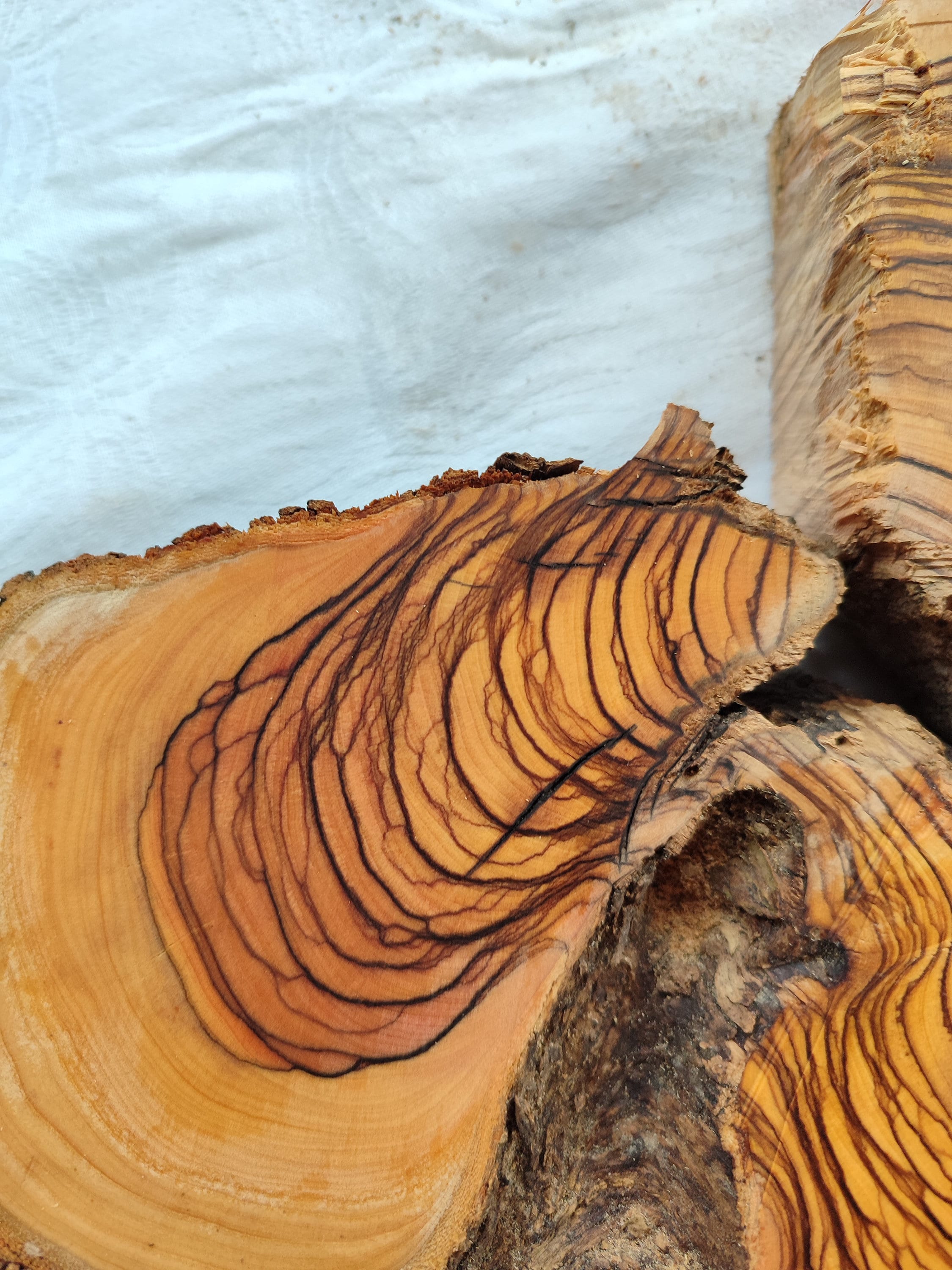 19 48 Cm Turkish Mediterranean Olive Tree Wood,wood for DIY Project ...