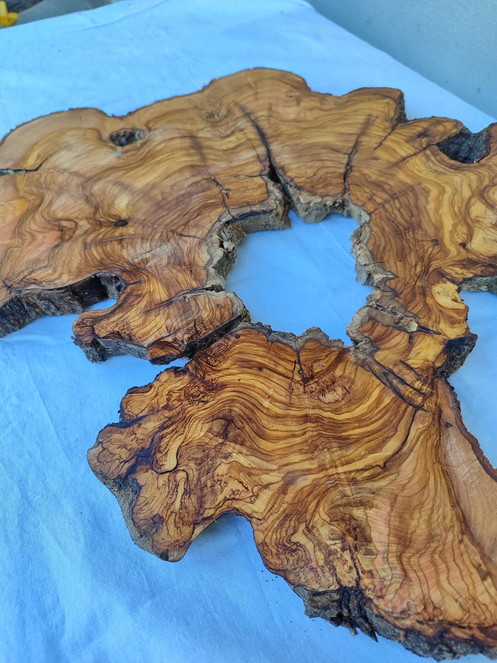 Rare Olive Wood Slab 51x51cm | Live Edge for Epoxy Resin & Coffee Table ...