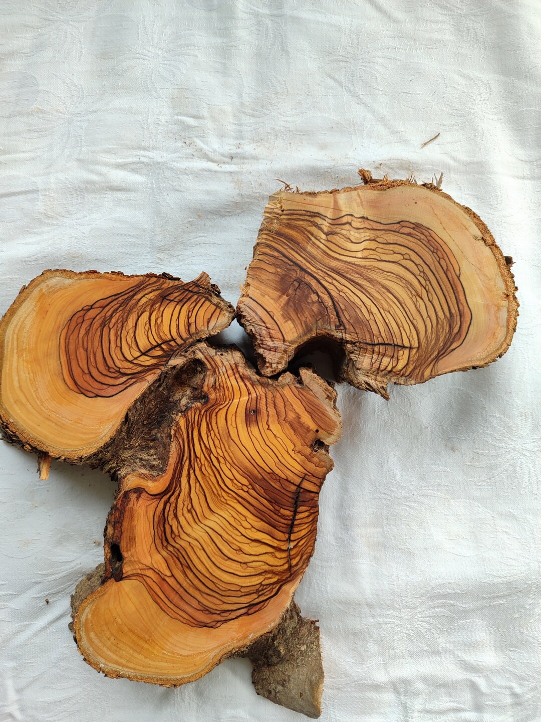 19 48 Cm Turkish Mediterranean Olive Tree Wood,wood for DIY Project ...