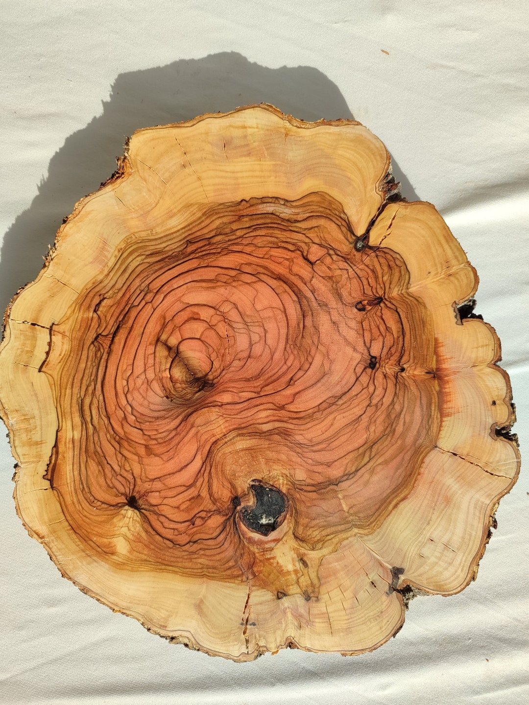 12'' 30cm Turkish Olive Wood Slab for Epoxy Resin,200 Yr Cleaned,olive ...