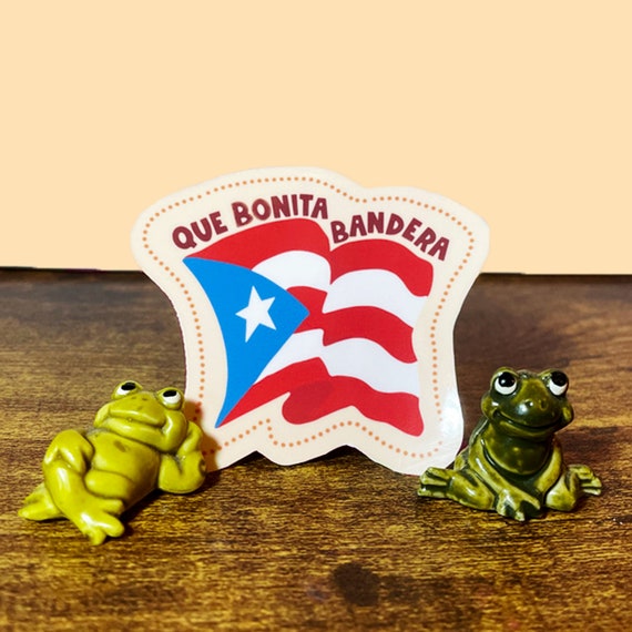 Puerto Rican Flag With Coqui