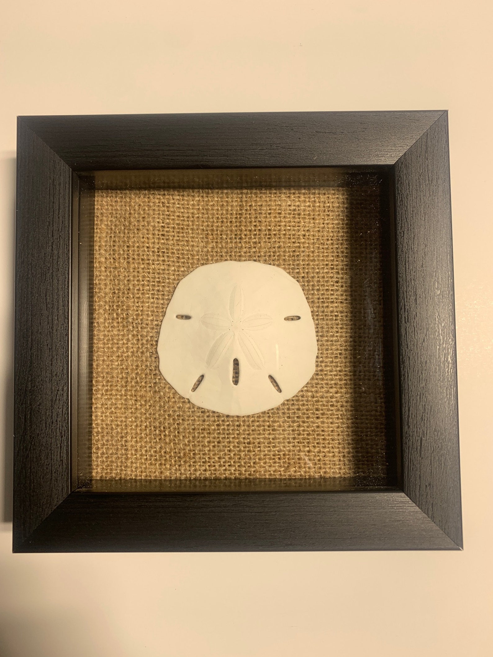 Sand Dollar on Burlap Shadow Box Frame - Etsy