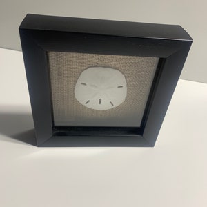Sand Dollar on Burlap Shadow Box Frame - Etsy