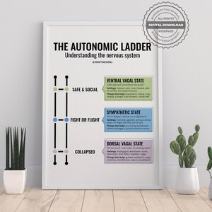 Autonomic Ladder Polyvagal Theory DIGITAL Print Therapy Office | Etsy