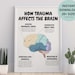 Autonomic Ladder Polyvagal Theory DIGITAL Print Therapy Office Decor ...