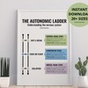 The Polyvagal Ladder, Polyvagal Theory Poster, Vagal Nerve Stimulation ...