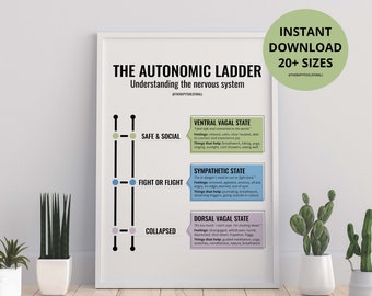 Polyvagal Ladder Polyvagal Theory - Etsy Australia