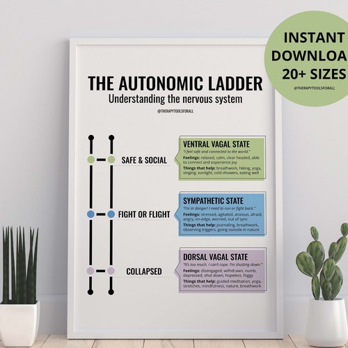 Nervous System States Therapy Wall Art Polyvagal Theory - Etsy Australia