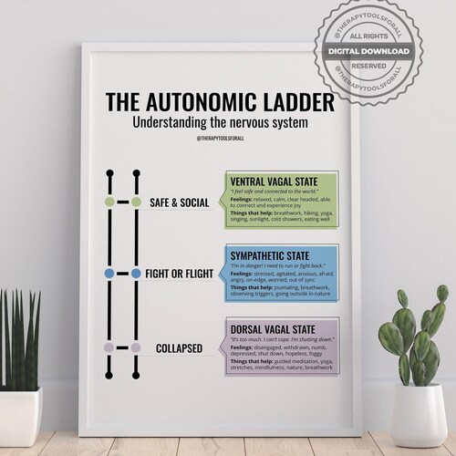 Autonomic Ladder Polyvagal Theory DIGITAL Print Therapy Office - Etsy UK