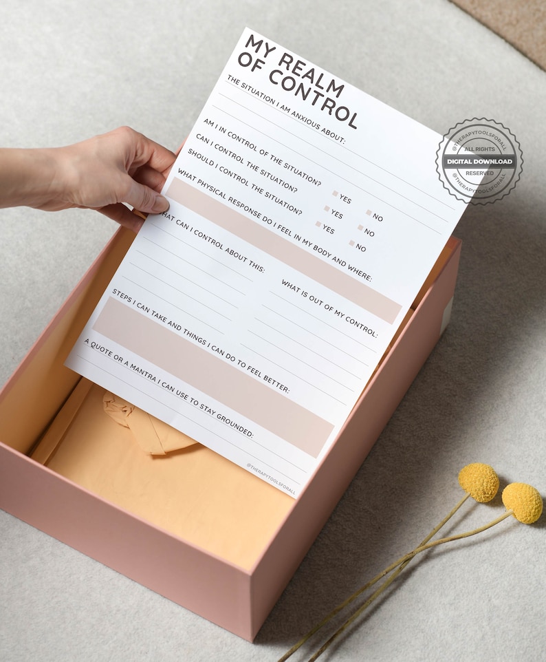Control Printable Interactive Worksheet Journal Inserts Planner ...