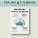How Trauma Affects the Brain Therapist Office Decor PTSD Recovery CBT ...