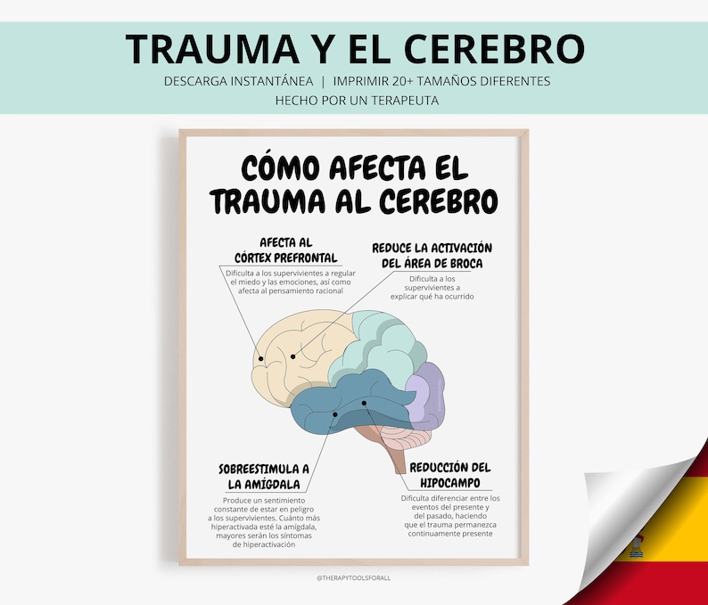 Cómo Afecta El TRAUMA Al Cerebro Efectos Del Trauma - Etsy Denmark