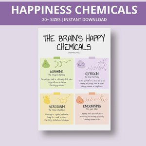 Happy Brain Hormones Happiness Chemicals DIGITAL Therapy Print Office ...