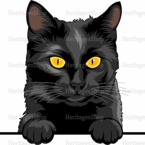 Bombay Cat Breed Illustration Portrait - Peeking Line - Peekaboo - .svg ...