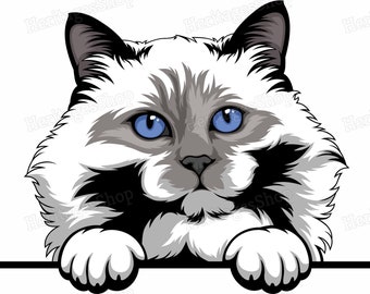 Ragdoll Cat Breed Illustration Peeking Line Peekaboo - Etsy