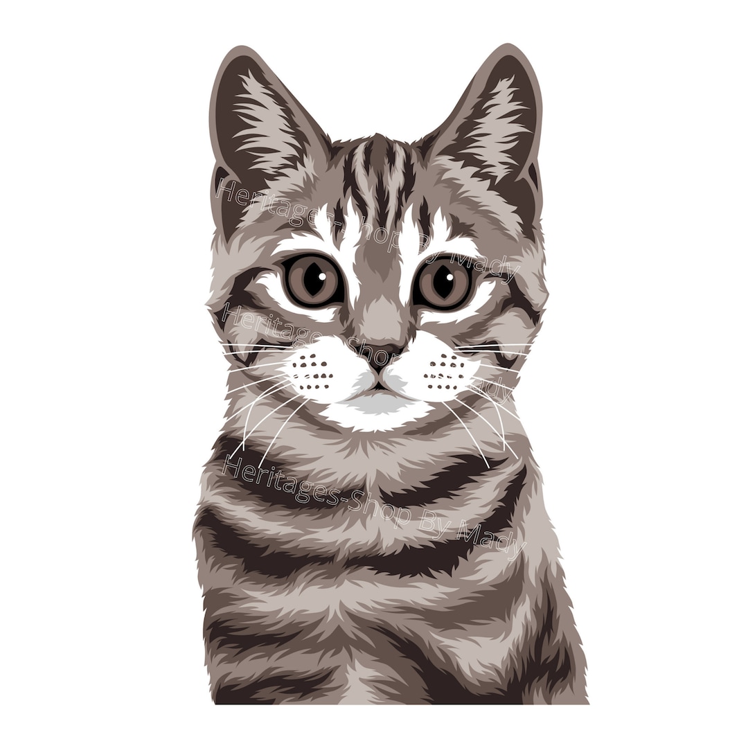 Tabby Grey Cat Breed Portrait Illustration - Peeking - Peekaboo Design ...