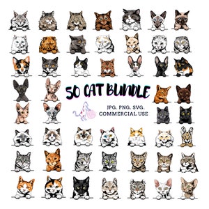 Cats PNG Bundle Cat Breed Clip Art Bundle With 26 Detailed Cat ...