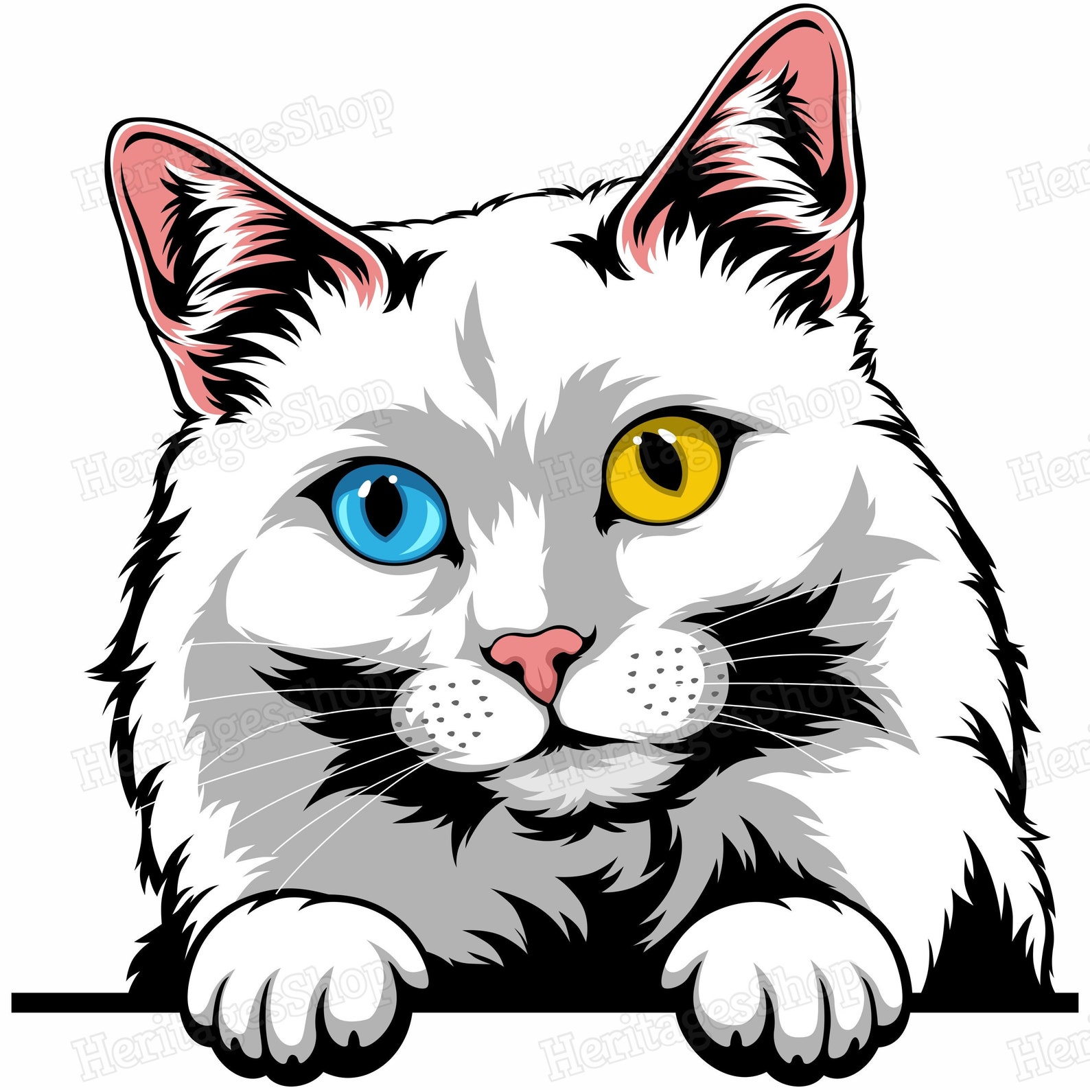 Turkish Angora Cat Breed Illustration - Peeking Line - Peekaboo - .svg ...