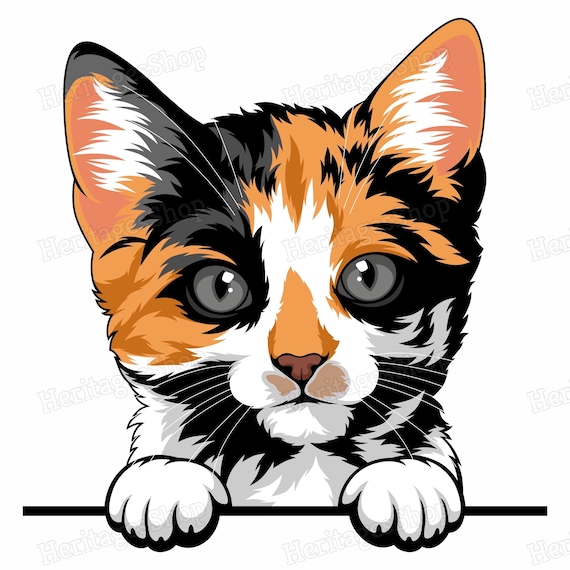 Calico Cat Breed Illustration Peeking Line Peekaboo - Etsy