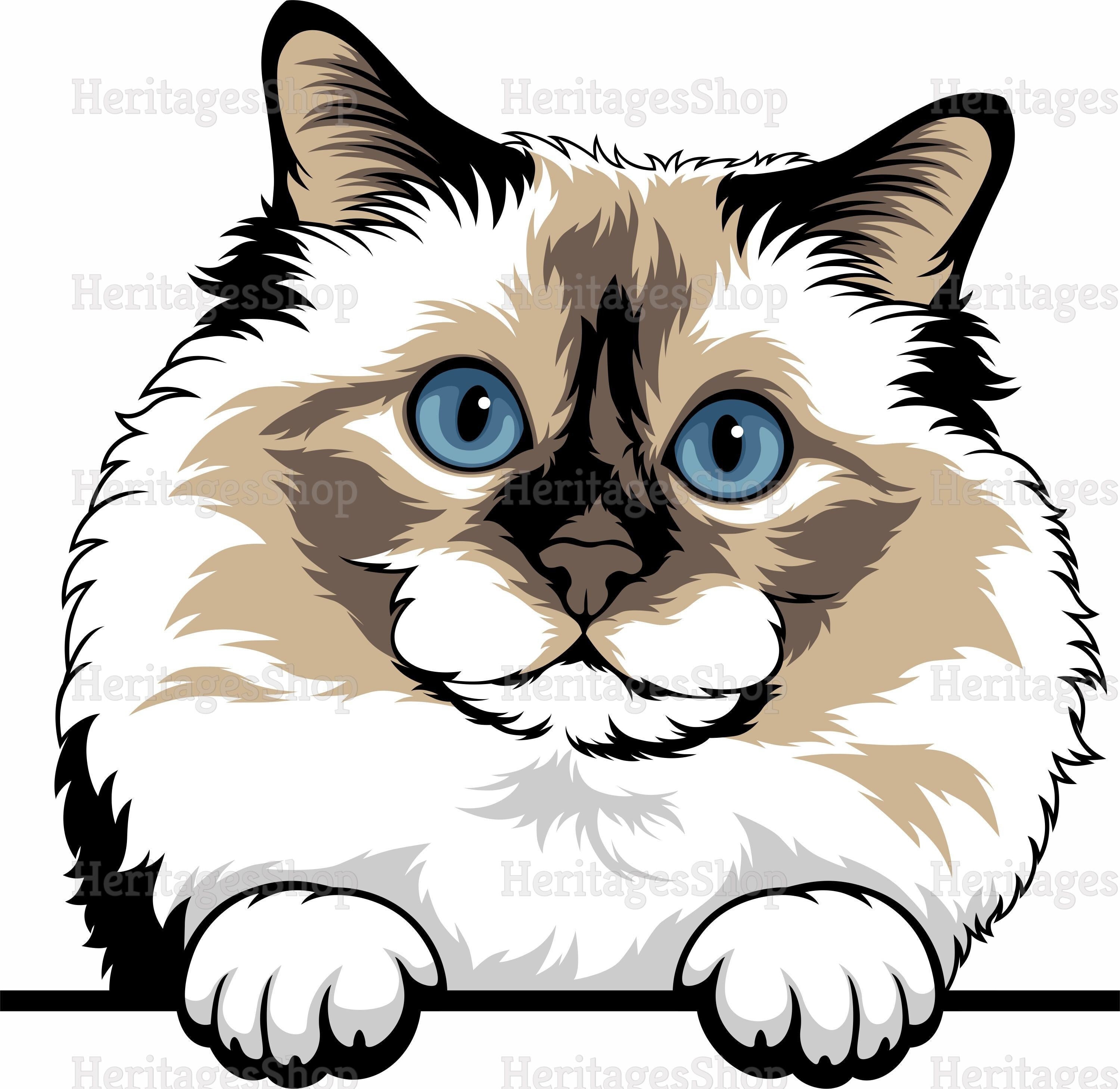 Birman Cat Breed Illustration Portrait Peeking Line Peekaboo .svg .png ...