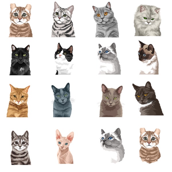 Cats PNG Bundle Cat Breed Clip Art Bundle With 26 Detailed Cat ...