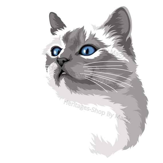 Birman Cat Breed Portrait Illustration Peekaboo Design | Etsy