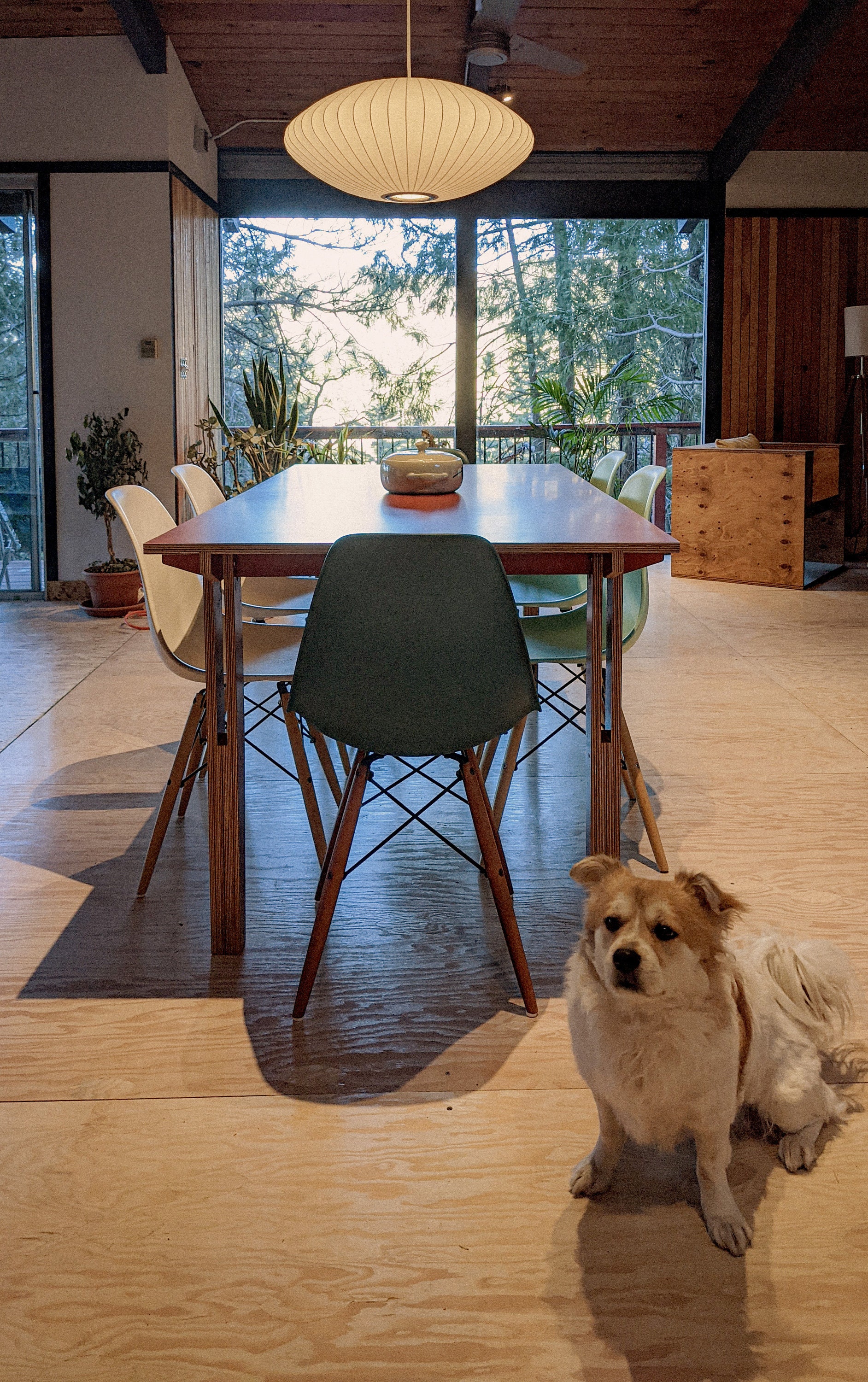 Custom Plywood Dining Table - Flatpack Europly - Etsy