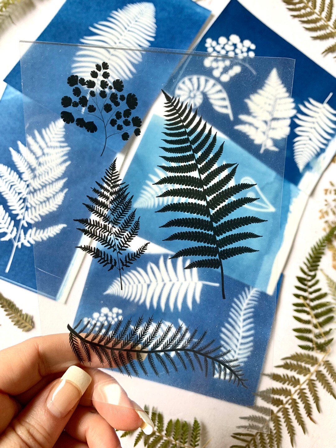 Sun Print Paper, Cyanotype Fern Template - Etsy