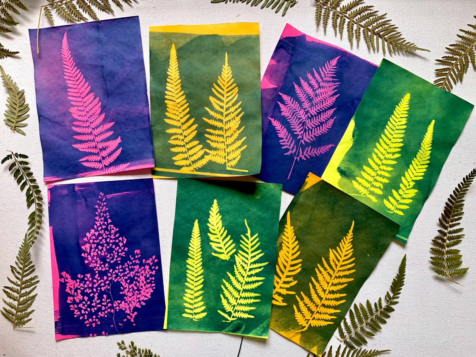 Sun Print Paper Craft , Sun Print Paper , Neon Kit , Sun Printing Kit ...