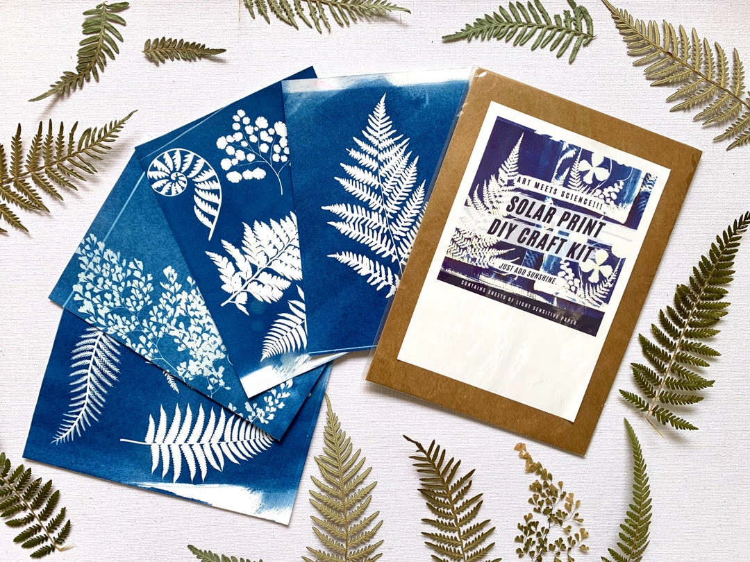 Cyanotype Experience • Eco Friendly Gift • DIY Art , Sun Print Paper ...