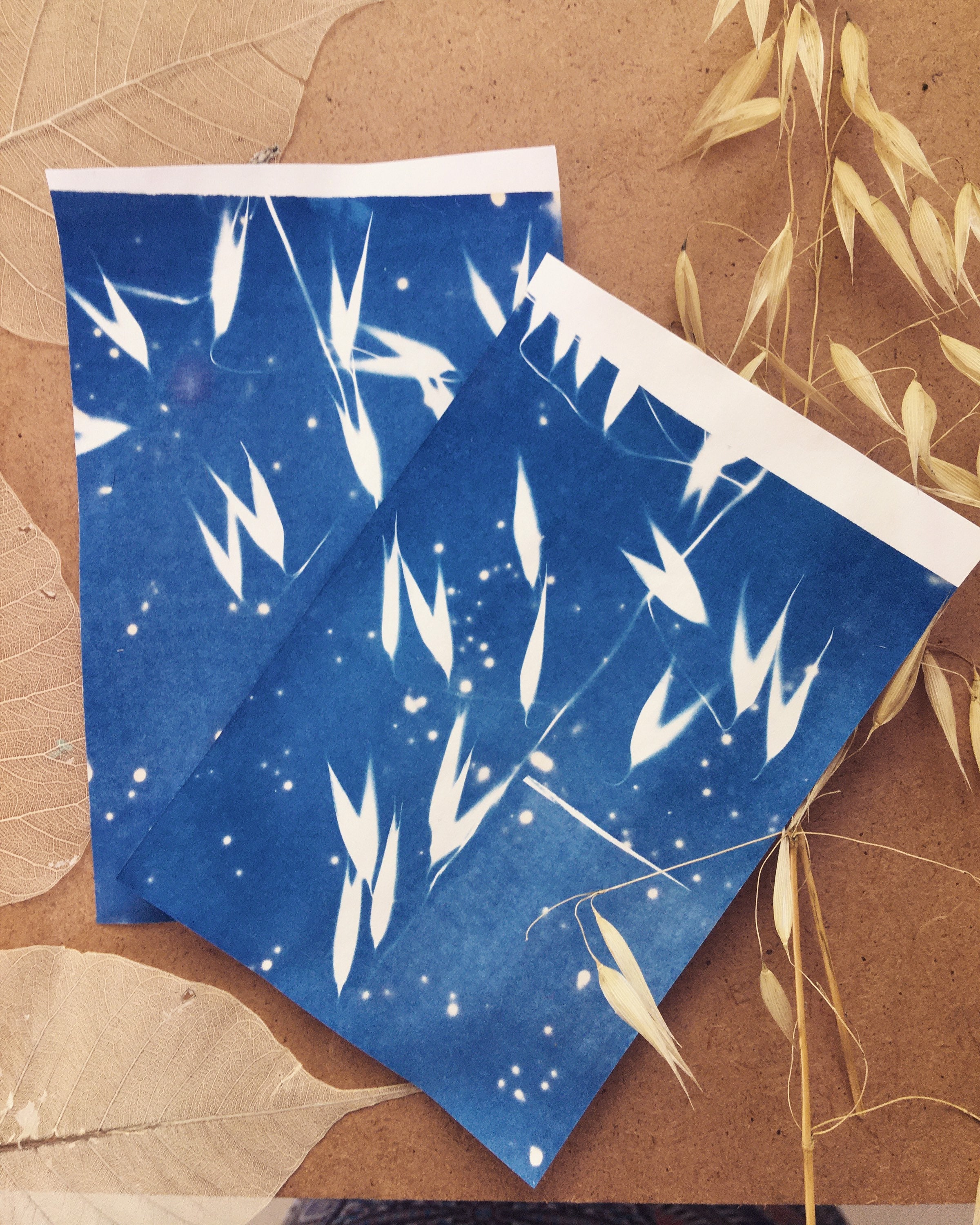 Cyanotype Paper , Craft Kit , DIY Sun Printing Kit , Cyanotype Kit ...