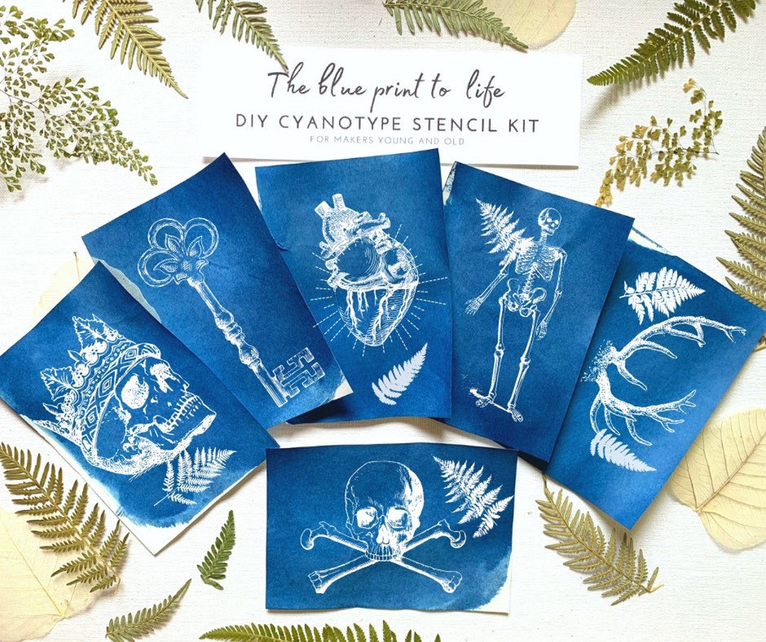 Halloween Cyanotype DIY Stencils With Paper, Skeleton, Craft Kit ...