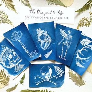 Halloween Cyanotype DIY Stencils With Paper, Skeleton, Craft Kit ...