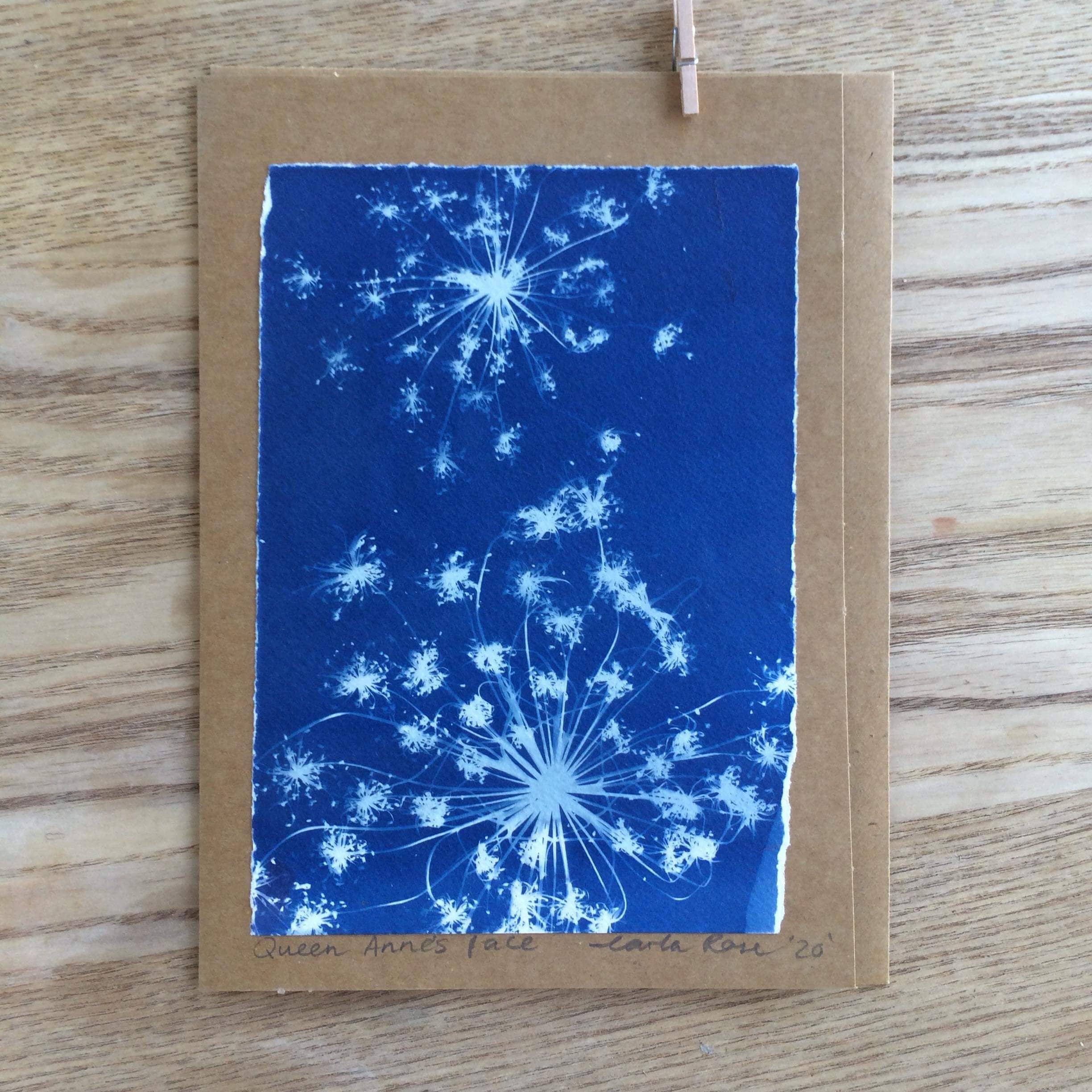 Cyanotype Paper , Craft Kit , DIY Sun Printing Kit , Cyanotype Kit ...