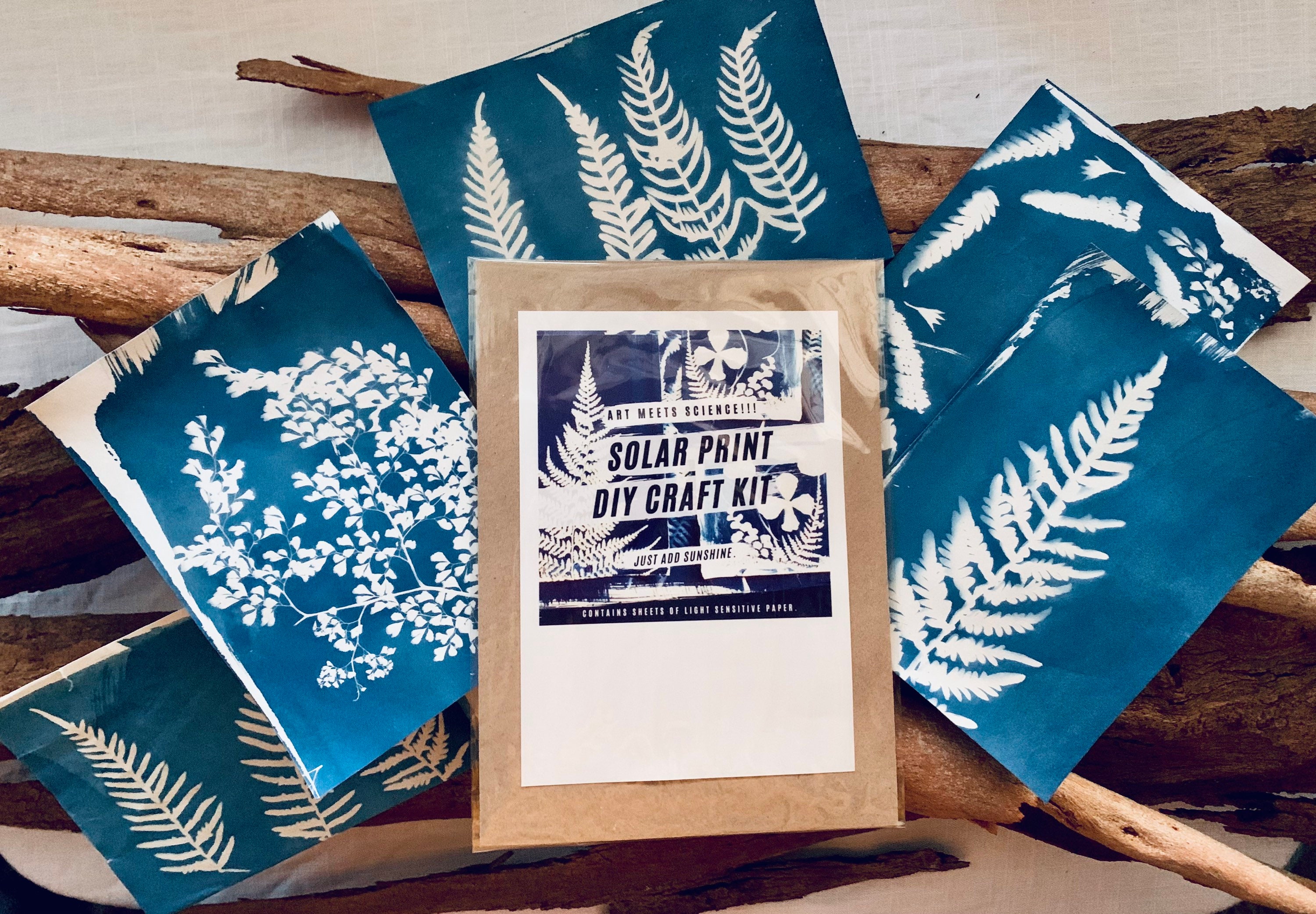 Cyanotype craft kit DIY sun printing kit cyanotype kit | Etsy