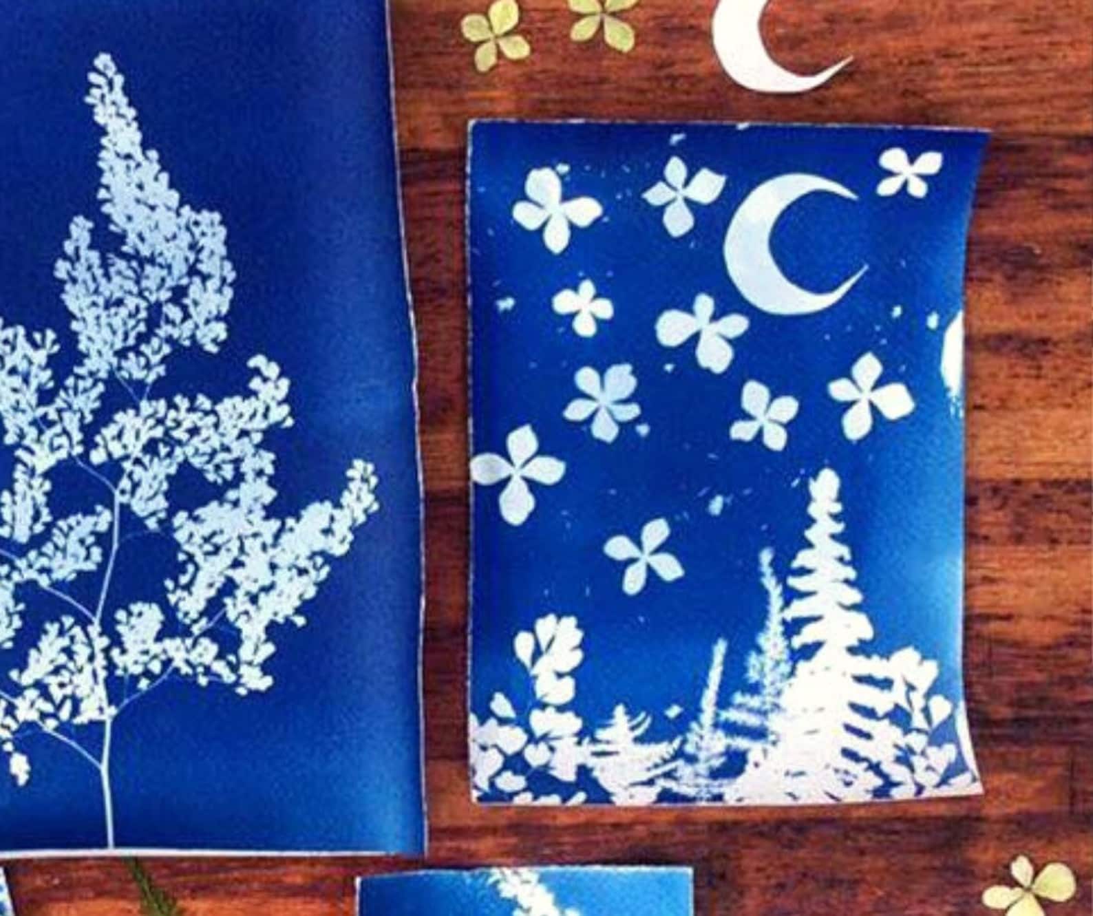 Cyanotype Paper , Craft Kit , DIY Sun Printing Kit , Cyanotype Kit ...