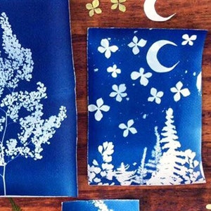 Cyanotype Paper , Craft Kit , DIY Sun Printing Kit , Cyanotype Kit ...