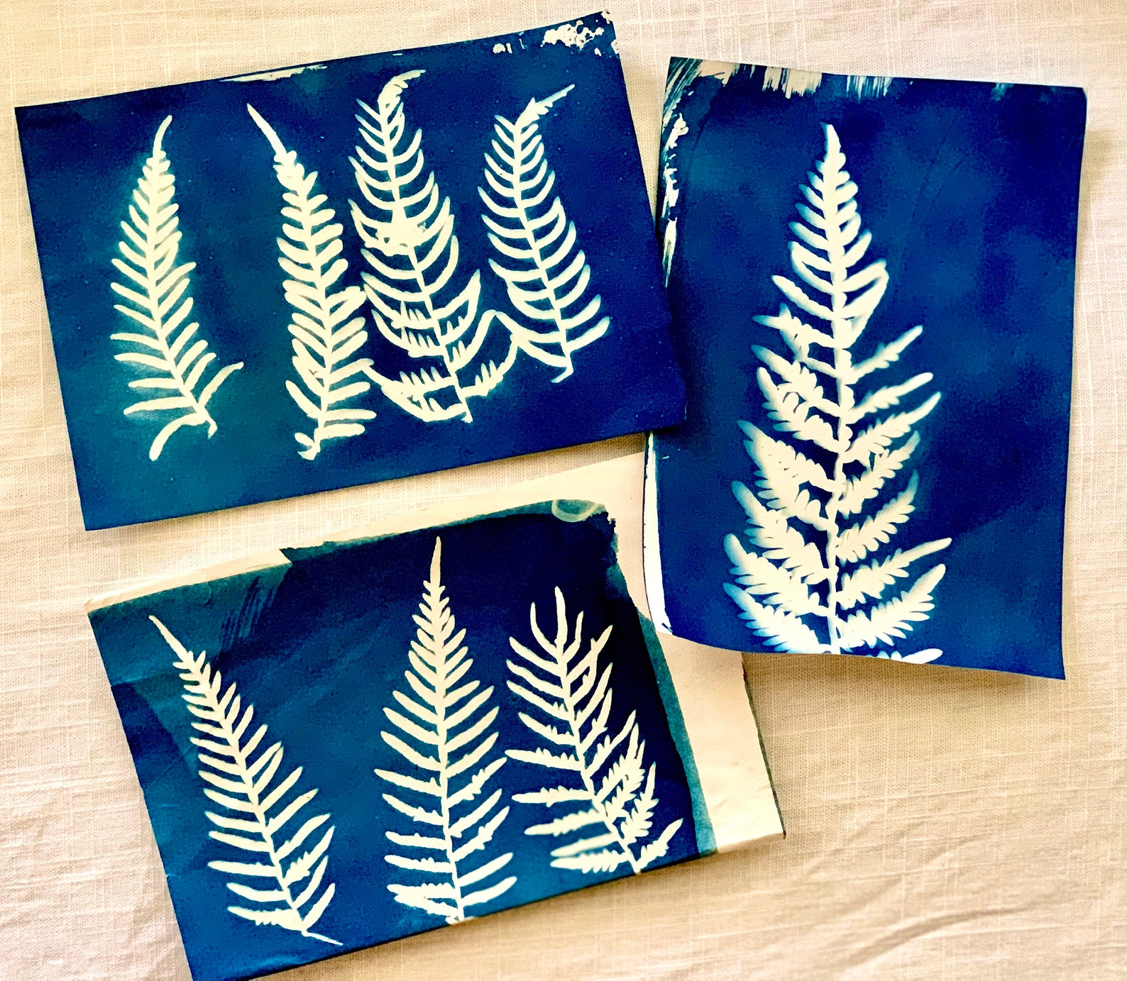 Cyanotype Paper , Craft Kit , DIY Sun Printing Kit , Cyanotype Kit ...