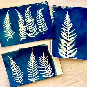 Cyanotype Paper , Craft Kit , DIY Sun Printing Kit , Cyanotype Kit ...
