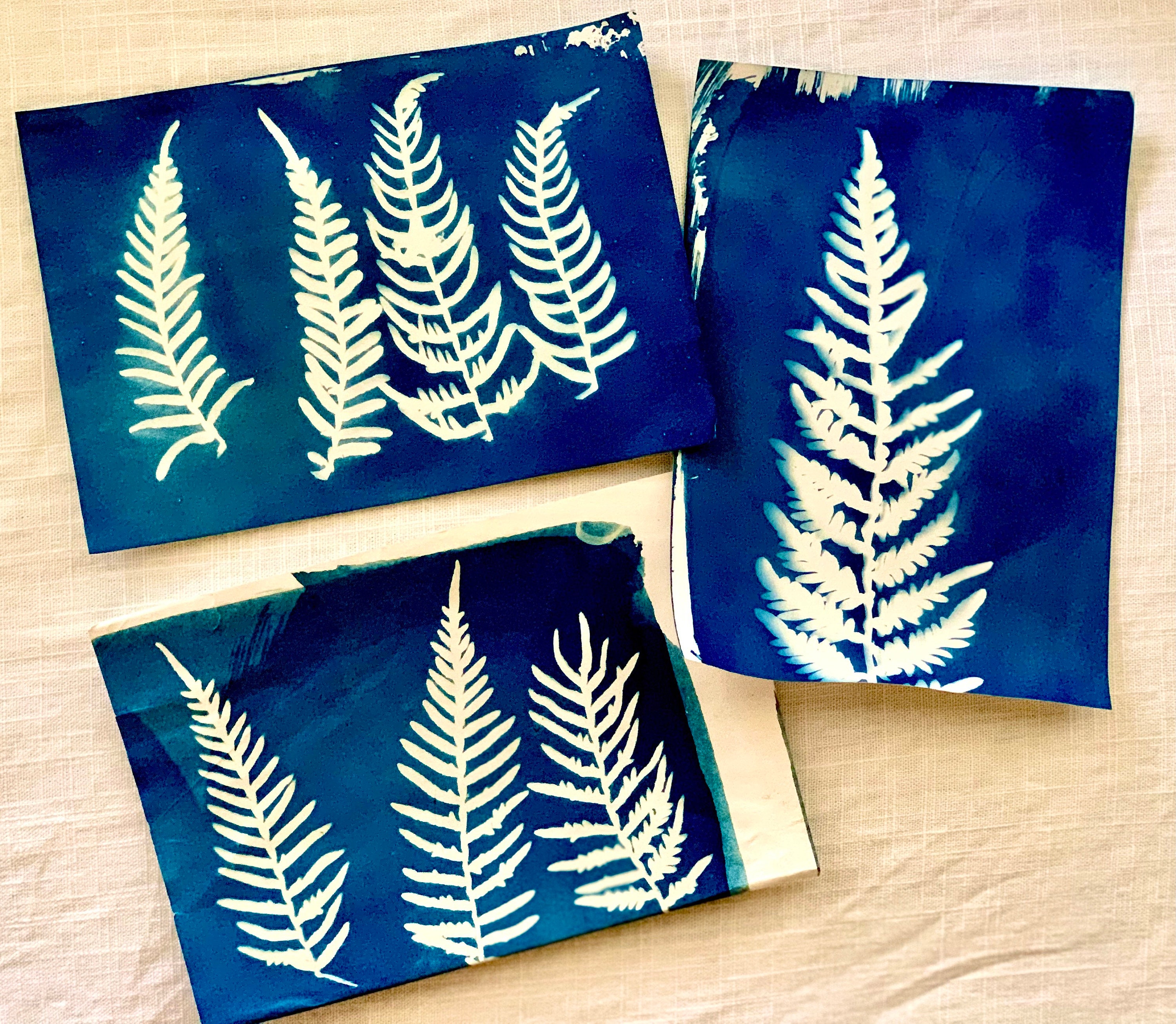 Cyanotype Paper , Craft Kit , DIY Sun Printing Kit , Cyanotype Kit ...