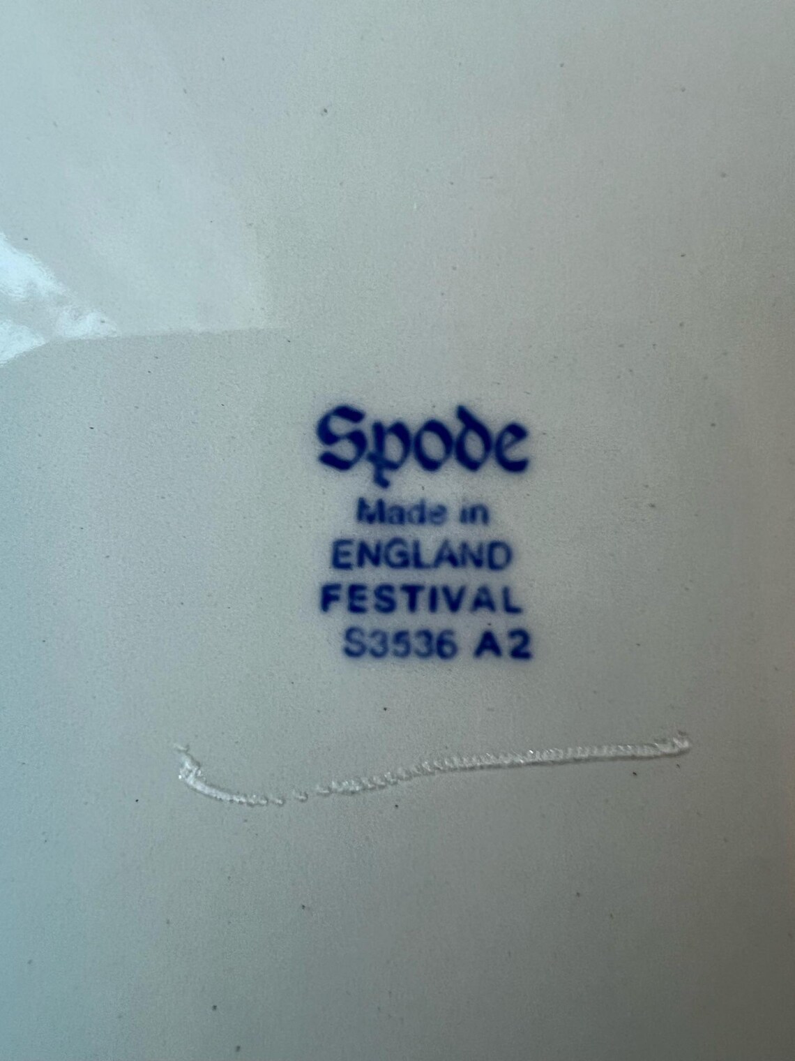 Rare Vintage SPODE Festival Blue With White Edge 10.25 Inch Dinner ...