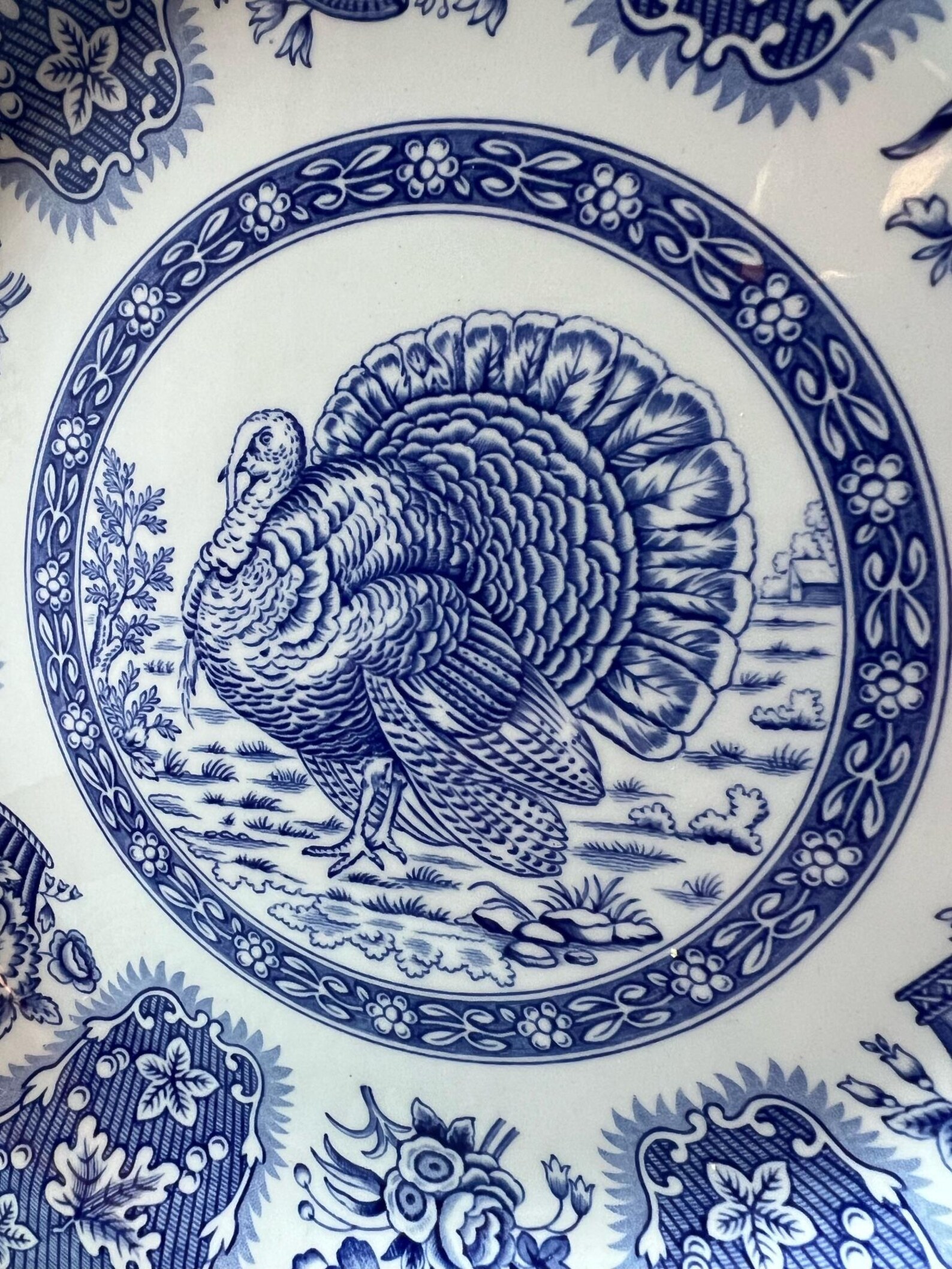 Rare Vintage SPODE Festival Blue With White Edge 10.25 Inch Dinner ...