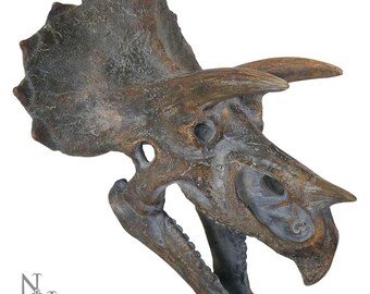 Triceratops Shelf - Etsy